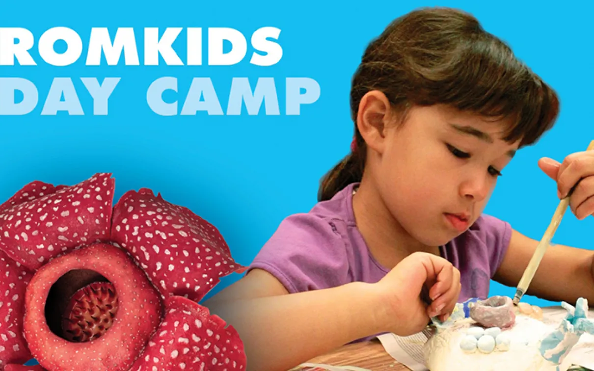ROMKids PA Day Camp | Royal Ontario Museum