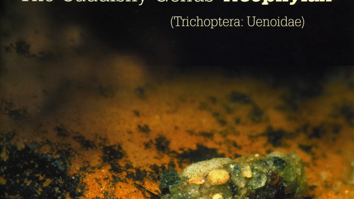The Caddisfly Genus Neophylax (Trichoptera: Uenoidae) | Royal Ontario ...