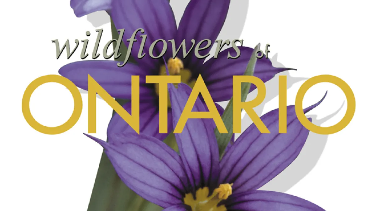 The ROM Field Guide to Wildflowers of Ontario | Royal Ontario Museum
