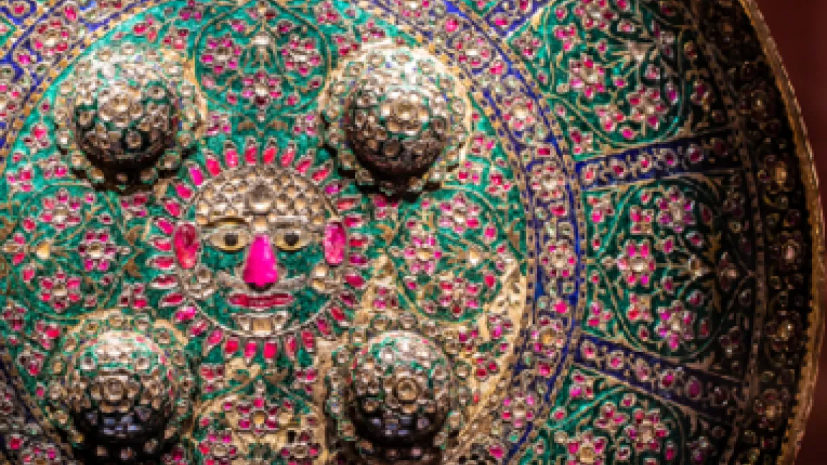 Offer to donate to ROM’s collections | Royal Ontario Museum