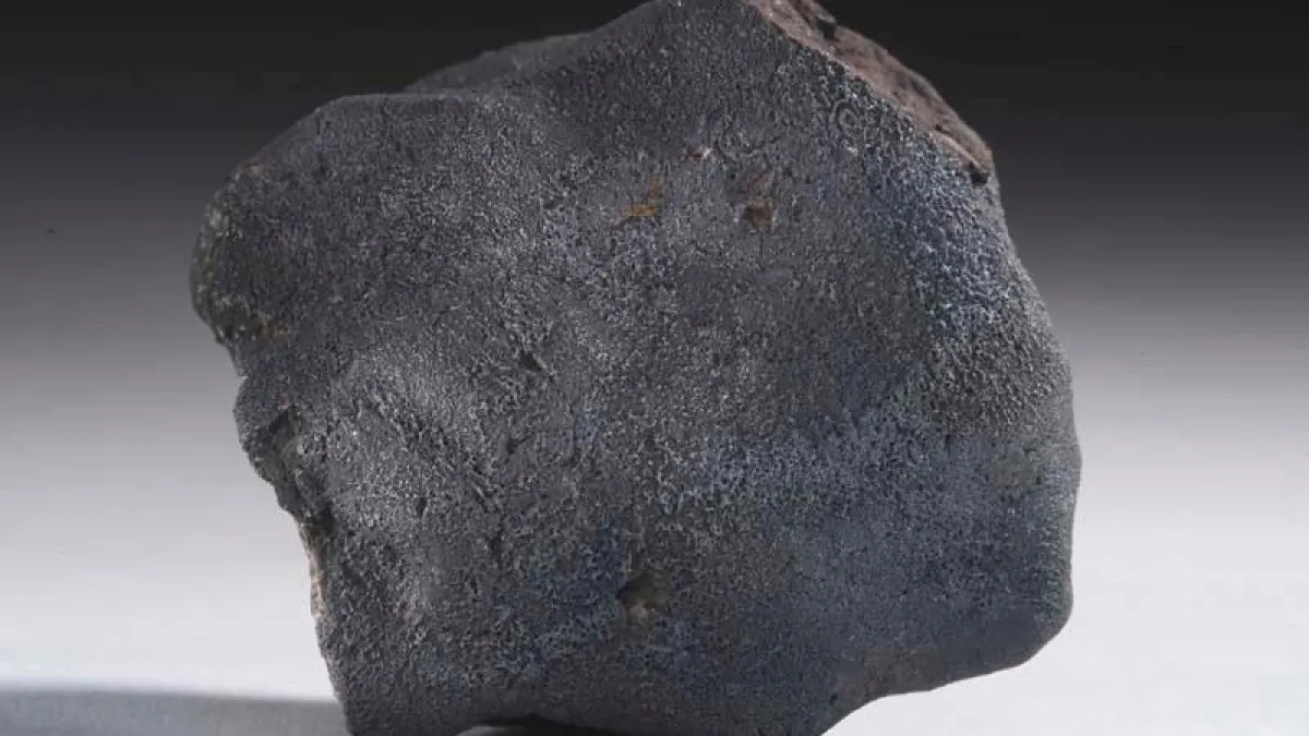 Iconic: Tagish Lake Meteorite | Royal Ontario Museum