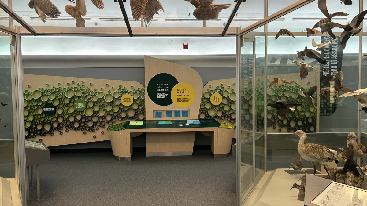 Reflect and Connect | Royal Ontario Museum