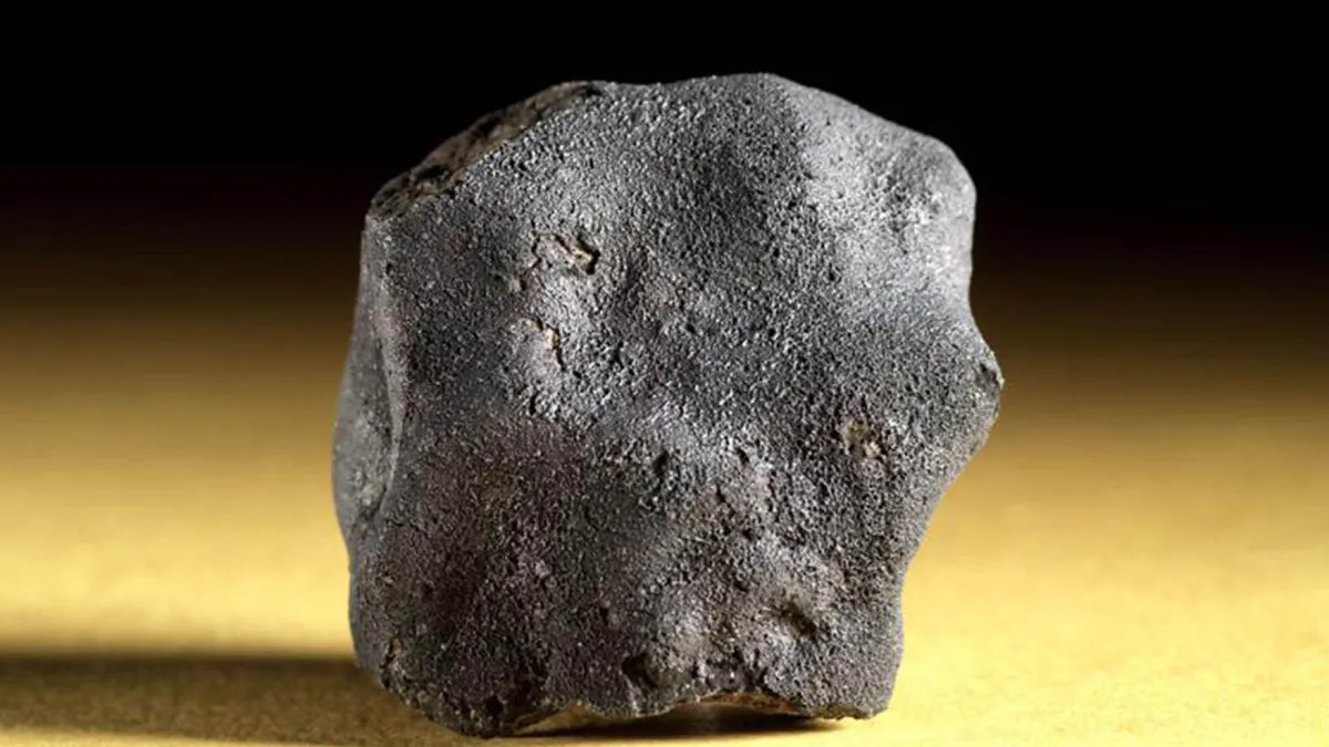 Looking Back at a New-Year Meteorite Discovery | Royal Ontario Museum