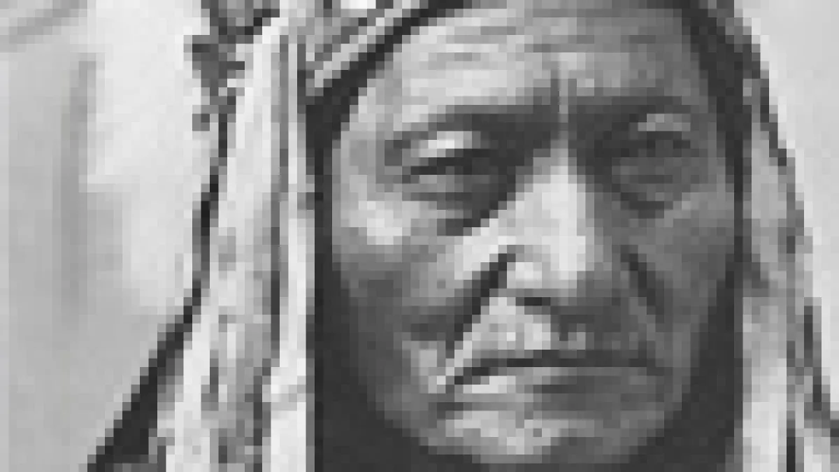 Chief Sitting Bull's Headdress | Royal Ontario Museum